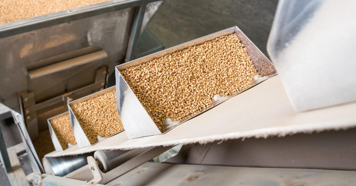3 Applications of Soybean Extruders: Transforming a Versatile Bean ...